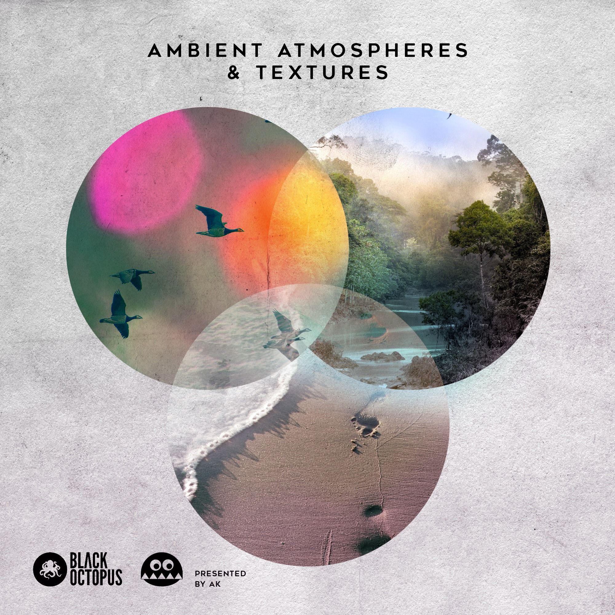 Ambient Bundle by Black Octopus - Black Friday Deal - Resonance Sound